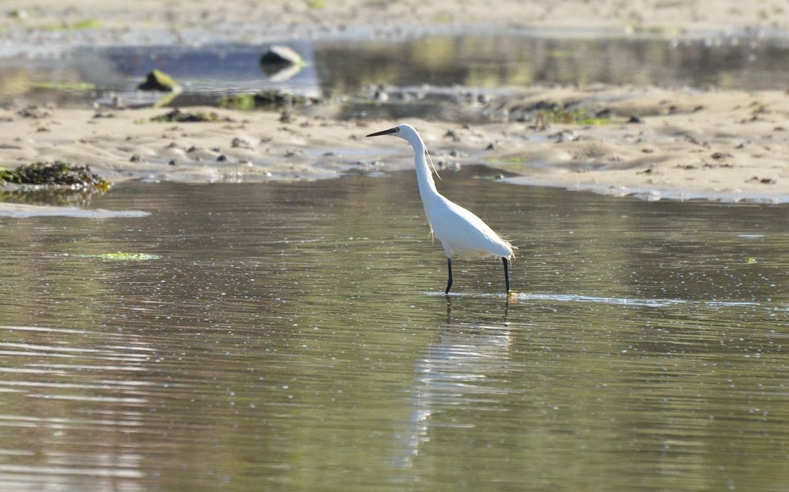 La ria et les Blancs-Sablons, sites classés / espaces protégés - Mairie ...